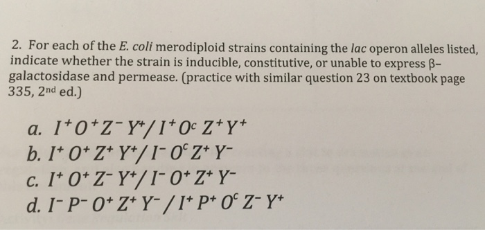 Solved For each of the E. coli merodiploid strains | Chegg.com