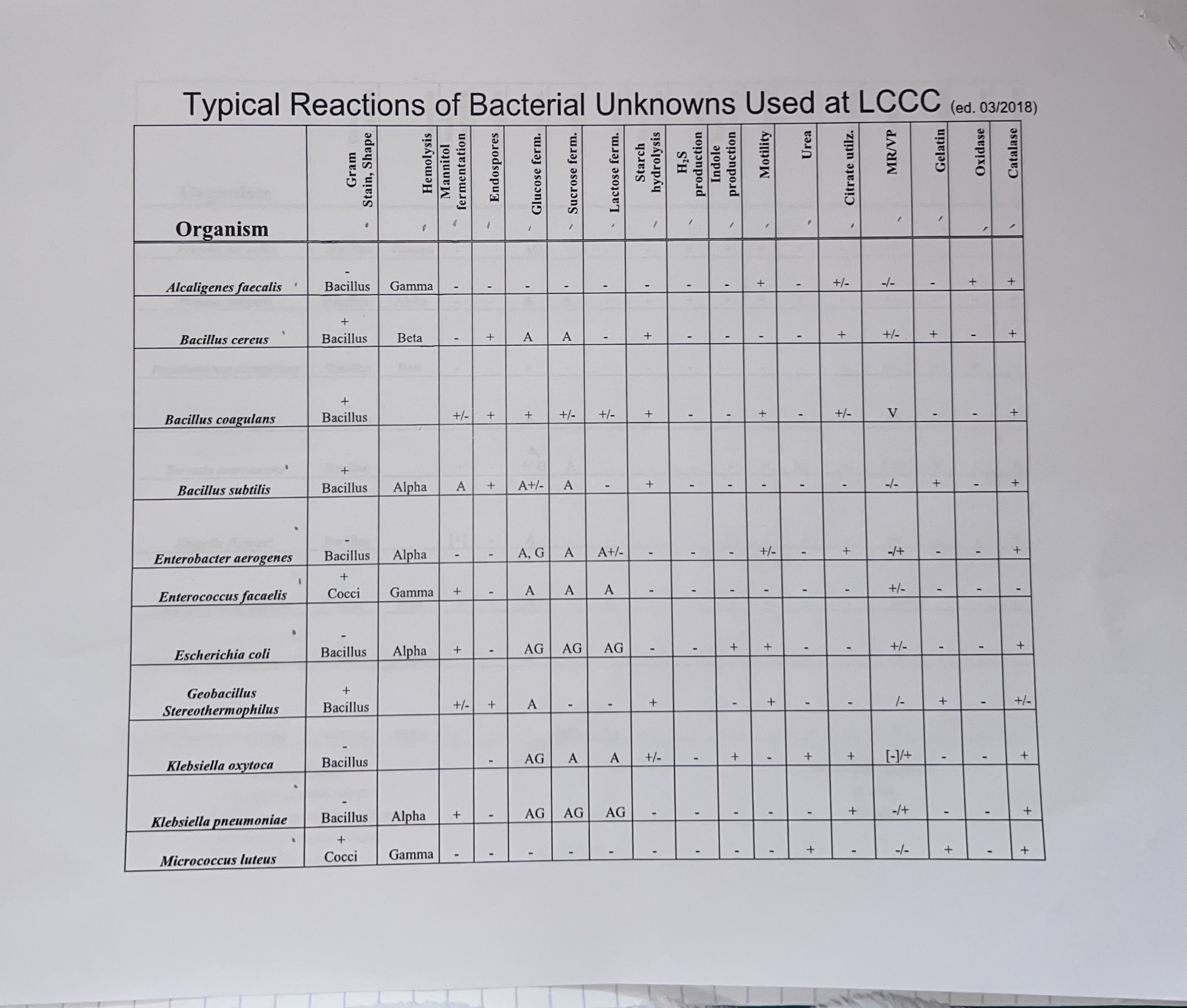 Solved Typical Reactions of Bacterial Unknowns Used at LCCC | Chegg.com