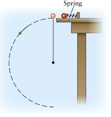 Solved An object with a mass of 3 kg is placed on a | Chegg.com