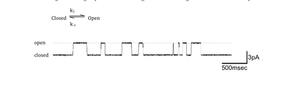 Estimate k1, k‐1, and K from the plot below, which | Chegg.com
