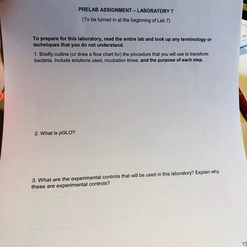 Solved PRELAB ASSIGNMENT - LABORATORY 7 (To be turned in at | Chegg.com