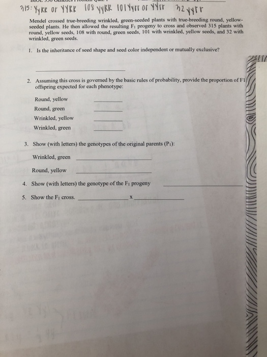 Solved Mendel crossed true-breeding wrinkled, green-seeded | Chegg.com