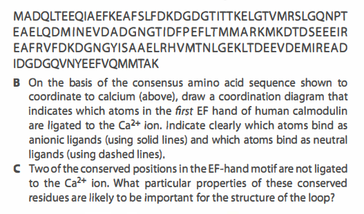 *5.31 The EF hand is a common protein domain that | Chegg.com