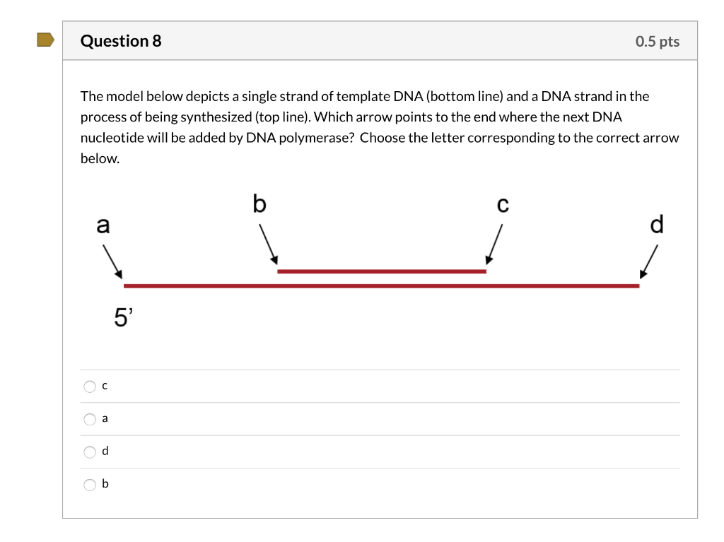 Solved Question 8 0.5 pts The model below depicts a single | Chegg.com