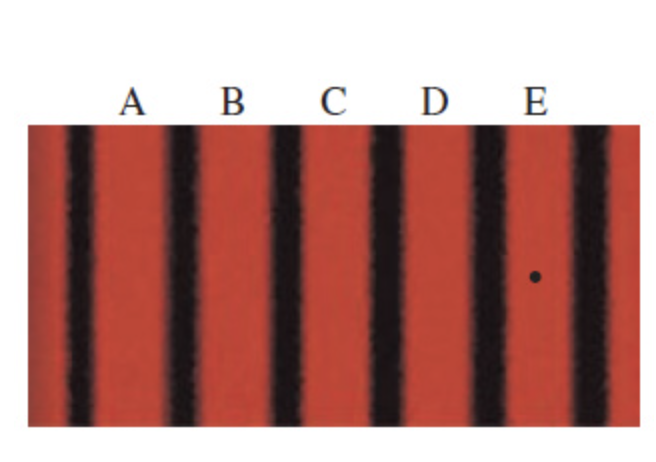 Solved Figure 1 shows The Viewing Screen In A Double Slit