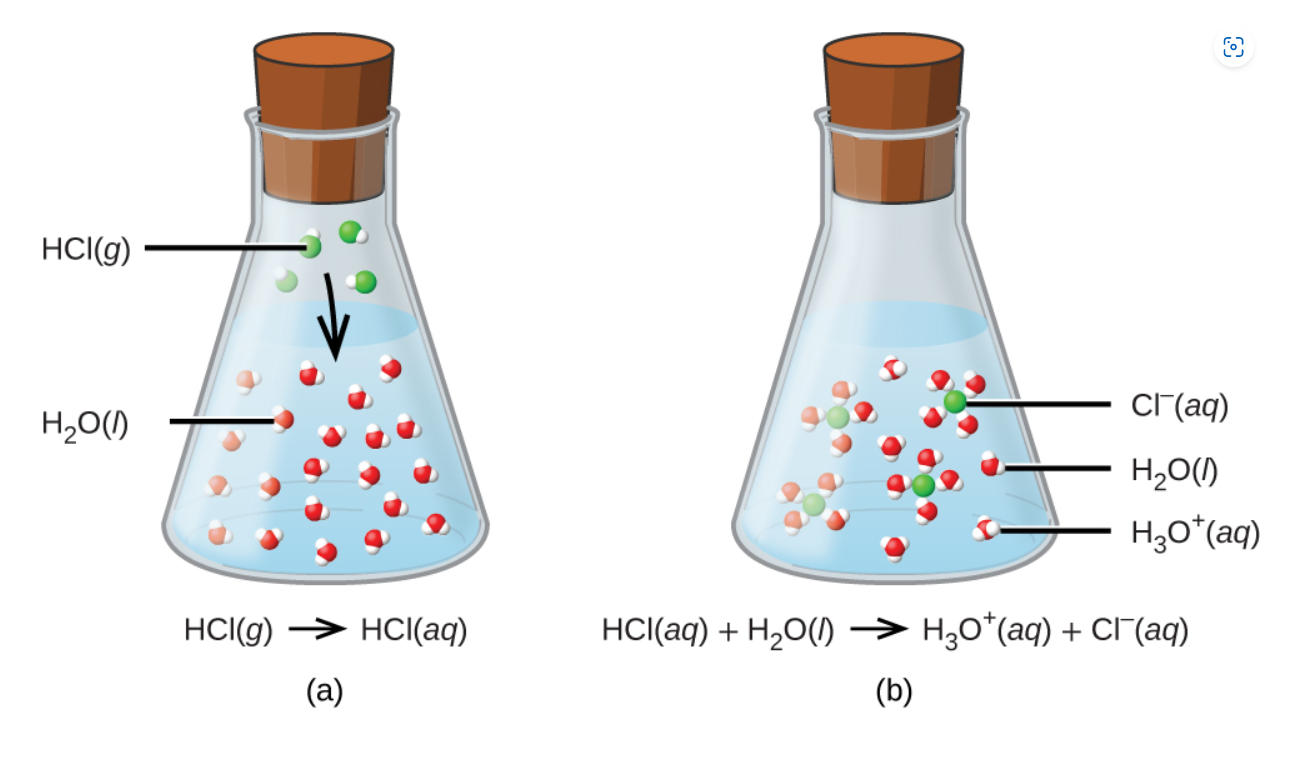 Solved Discuss and interpret this graphical representation | Chegg.com