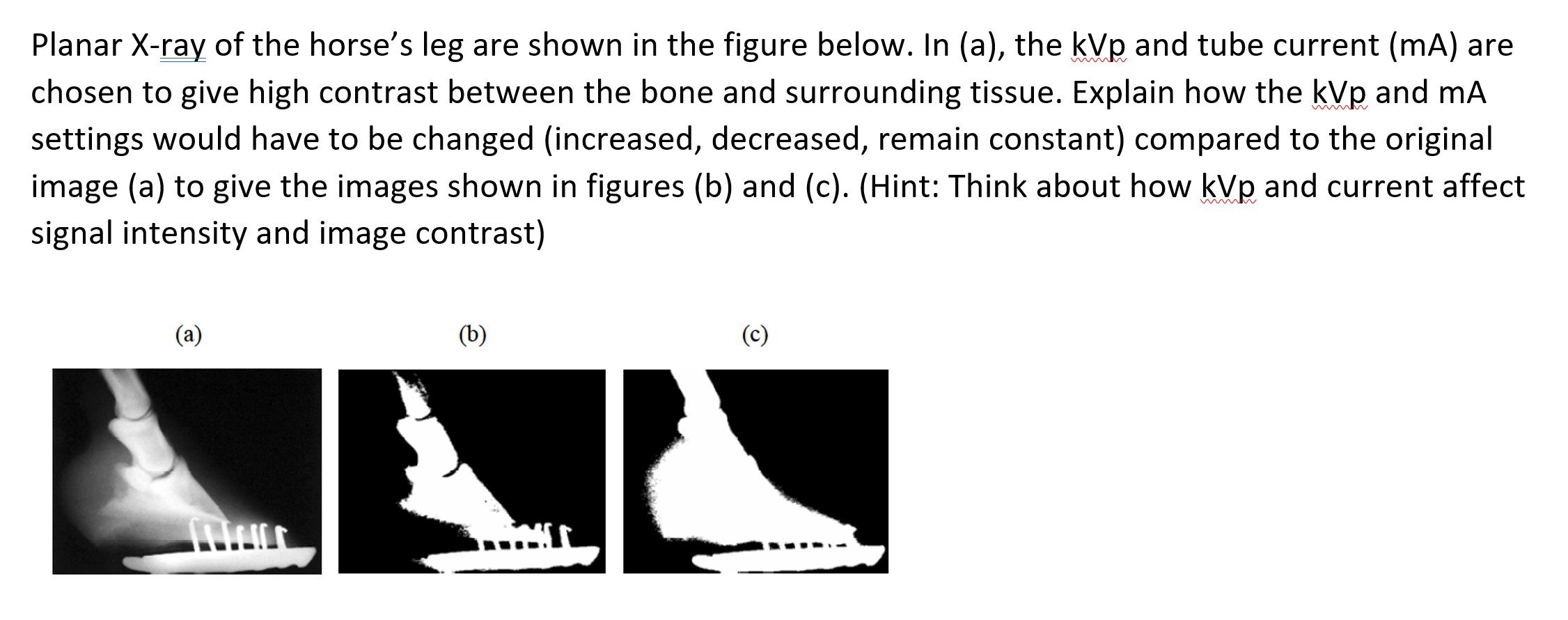 Solved Planar X-ray of the horse's leg are shown in the | Chegg.com