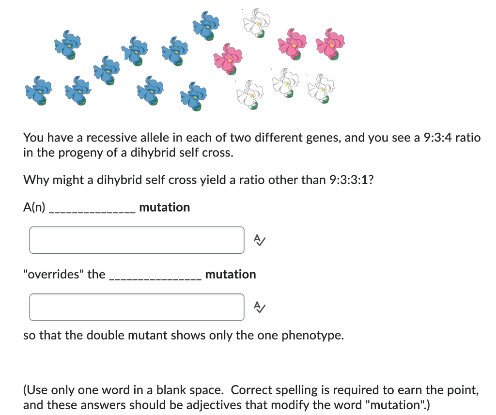 You have a recessive allele in each of two different | Chegg.com