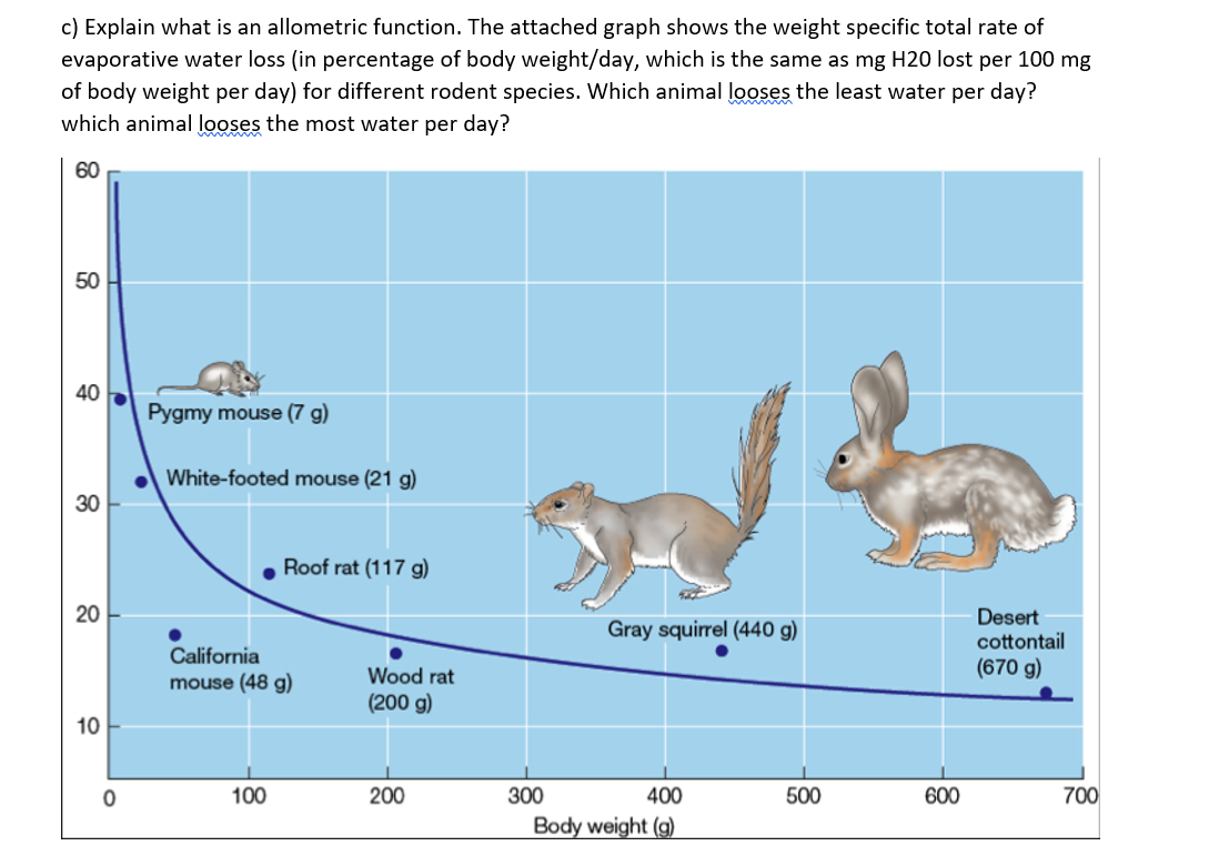 Solved C Explain What Is An Allometric Function The