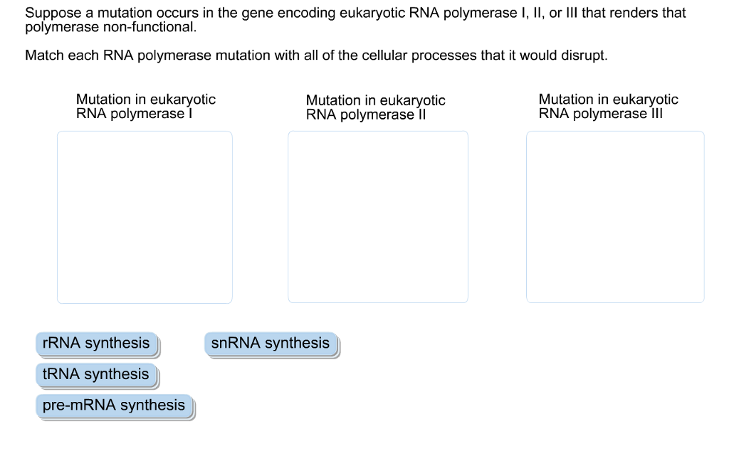 Solved Suppose a mutation occurs in the gene encoding | Chegg.com