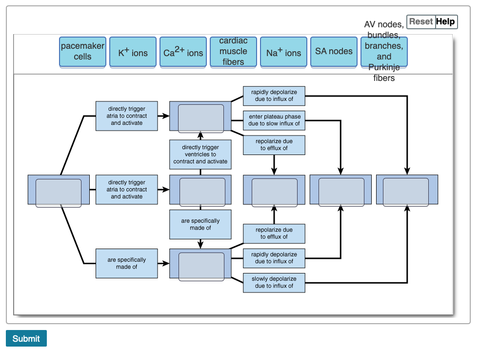 Solved Complete the Concept Map to describe ionic movement | Chegg.com