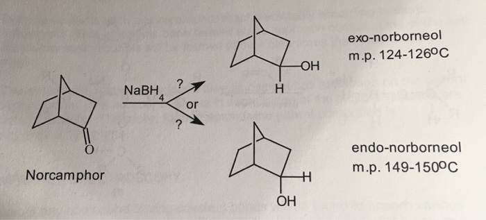 Solved What is the ? mean from this reduction of norcamphor | Chegg.com