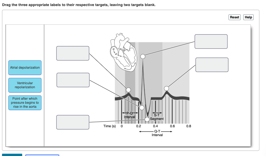 Solved Drag the three appropriate labels to their respective | Chegg.com