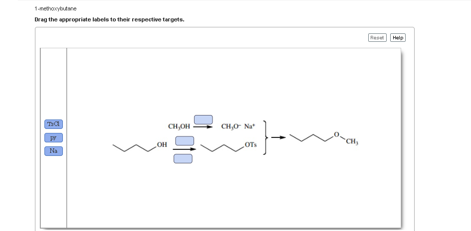 Solved trans-2-methoxycyclohexanol Drag the appropriate | Chegg.com