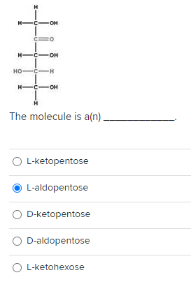 Solved H H-COH EO H-COH HOSCH H-COH H The molecule is a(n). | Chegg.com