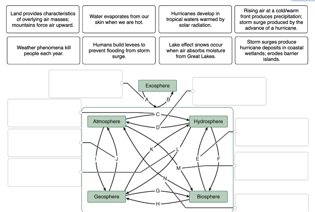 Solved Match the labels provided with the appropriate | Chegg.com