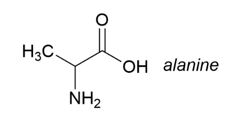 Solved The structure of the amino acid alanine is shown | Chegg.com