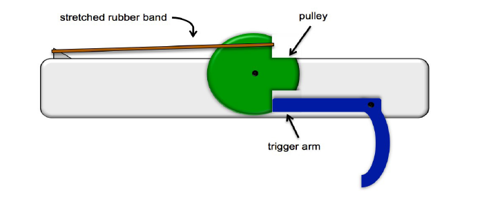 Solved use arrows and descriptions to explain how the firing | Chegg.com Solved use arrows and descriptions to explain how the firing | Chegg.com