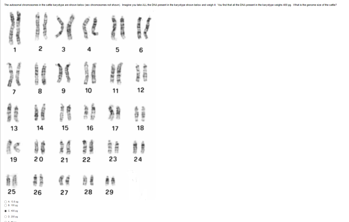 Solved The autosomal chromosomes in the cattle karyotype are | Chegg.com