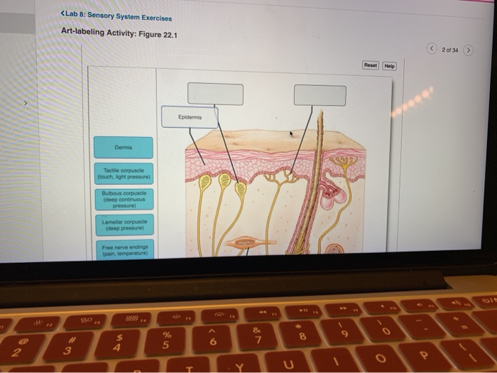 Solved Question | Chegg.com