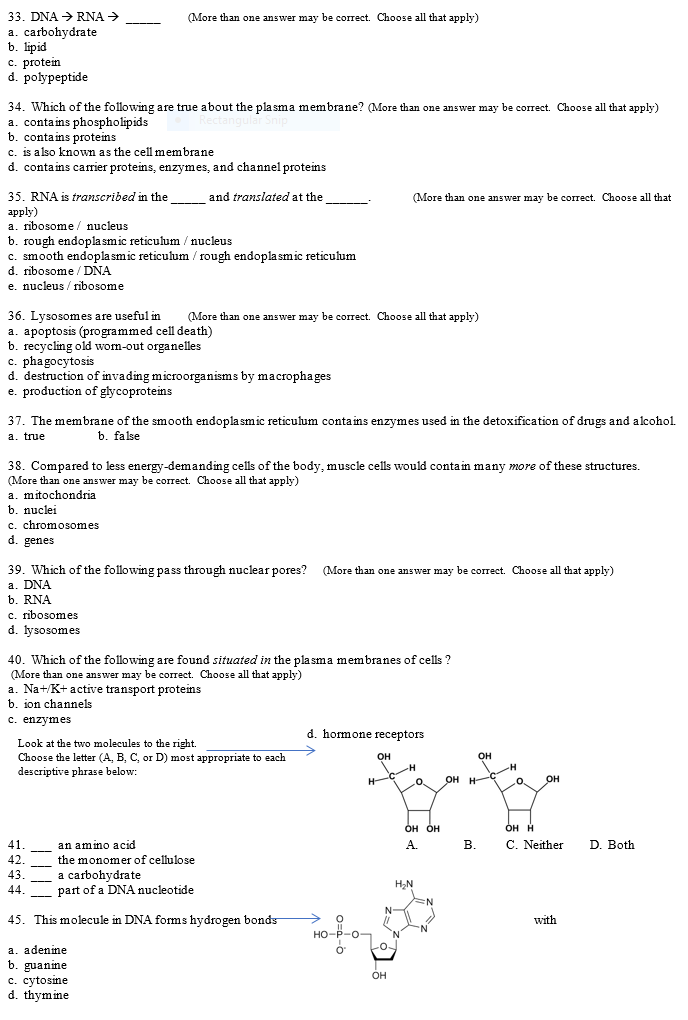Solved 33. DNA → RNA → (More than one answer may be correct. | Chegg.com