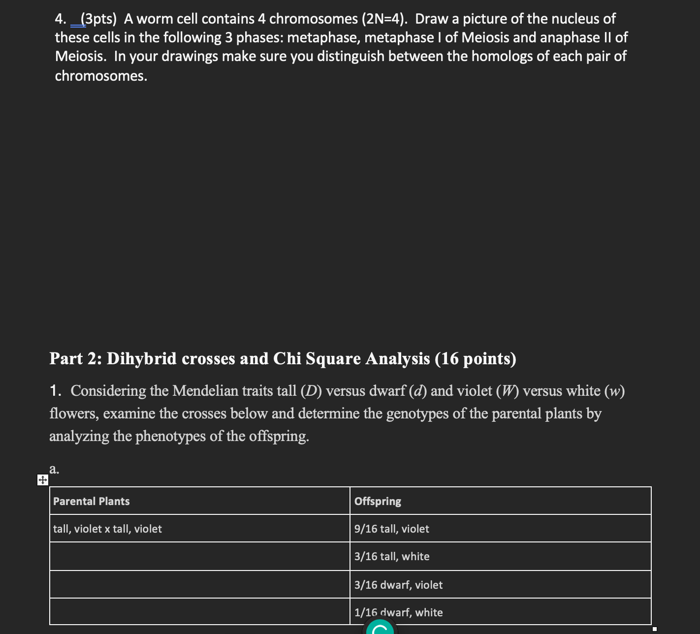 Solved 4. (3pts) A worm cell contains 4 chromosomes (2 N=4). | Chegg.com