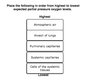 Solved Place the following in order from highest to lowest | Chegg.com