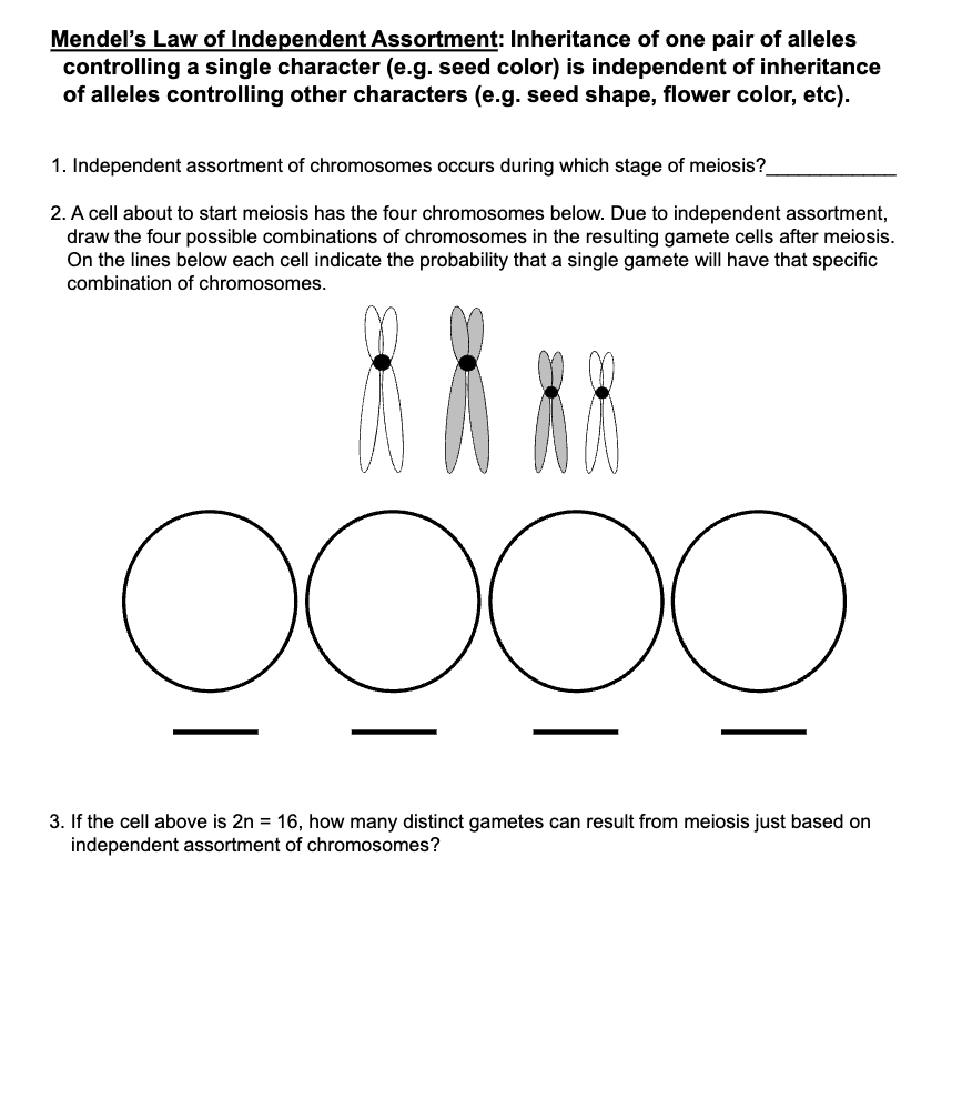 Solved Mendel's Law of Independent Assortment: Inheritance | Chegg.com