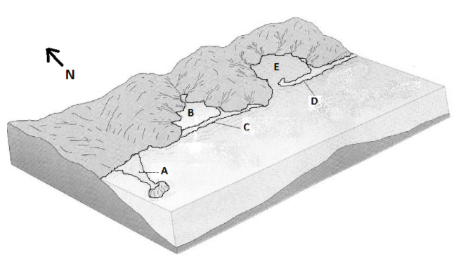 Solved What is the direction of the longshore current along | Chegg.com