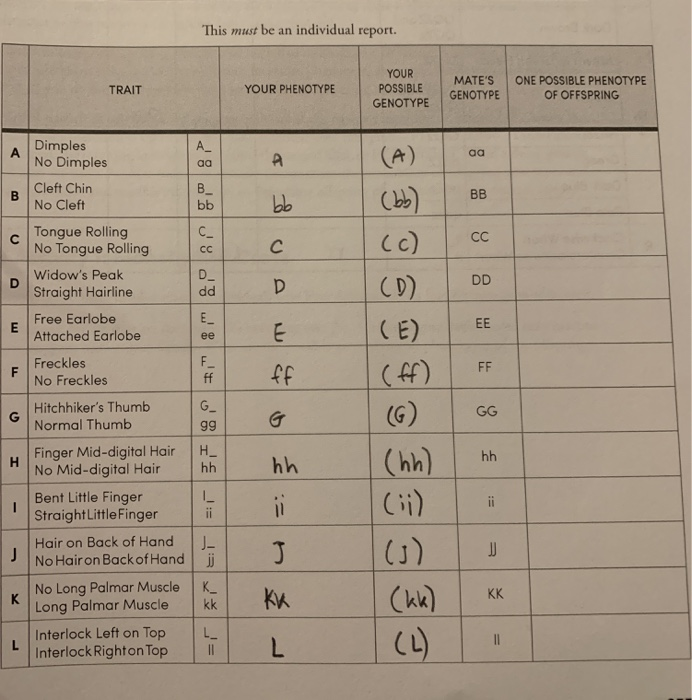 Solved This must be an individual report. YOUR POSSIBLE I | Chegg.com