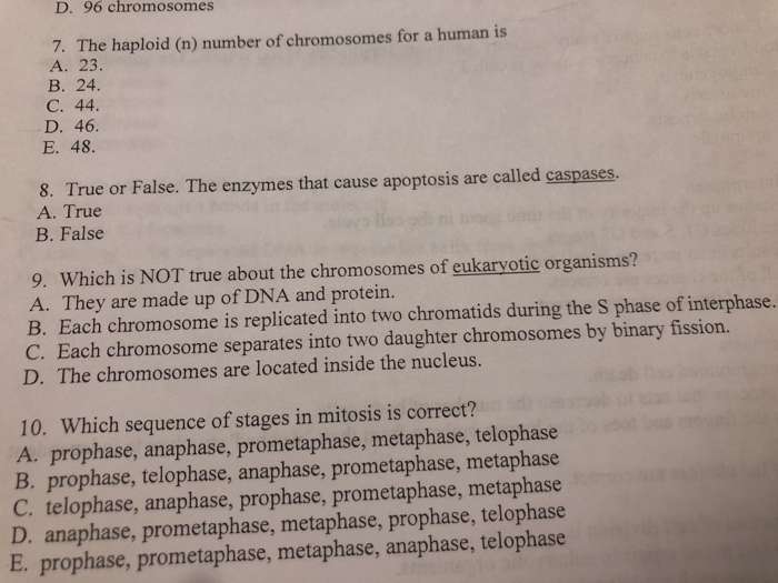 Solved D. 96 chromosomes 7. The haploid (n) number of | Chegg.com
