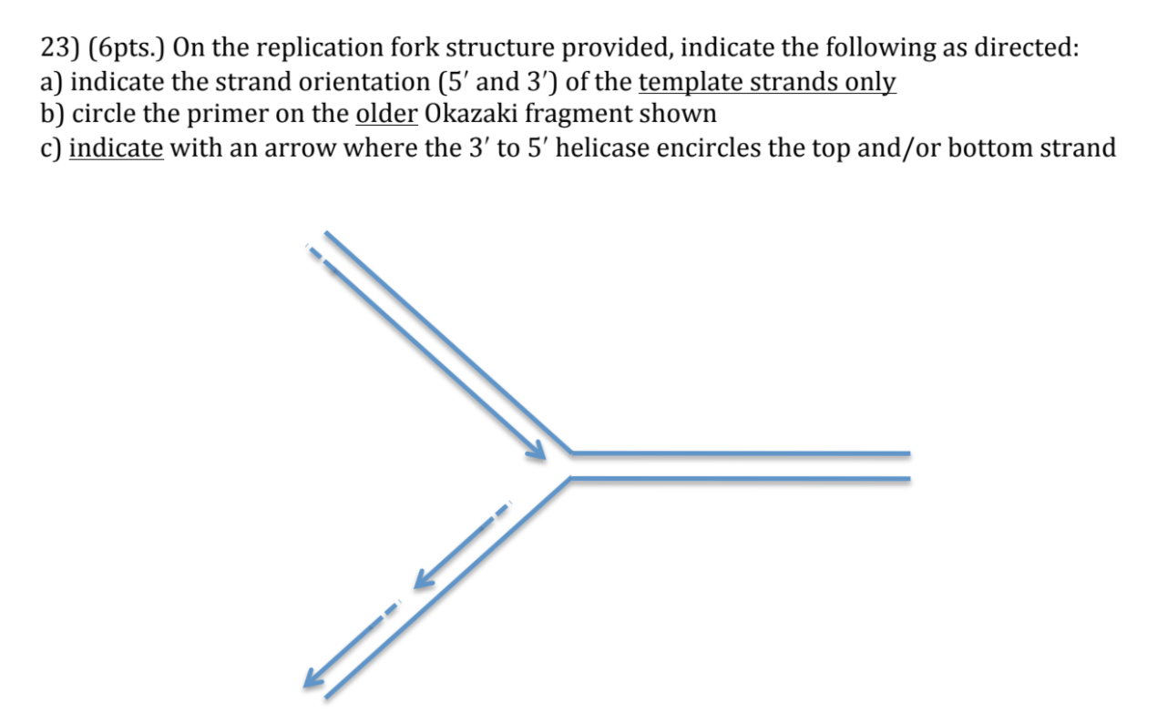Solved (6pts.) ﻿On the replication fork structure provided, | Chegg.com
