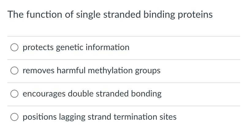 Solved The Function Of Single Stranded Binding Proteins