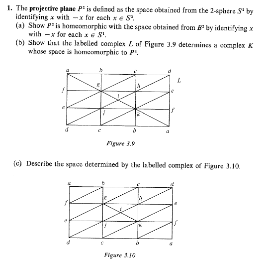 Solved 1. The projective plane P2 is defined as the space | Chegg.com