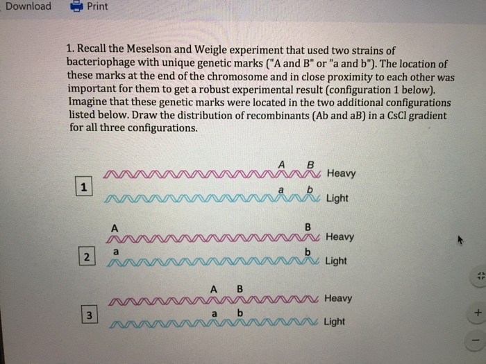 Solved Download Print 1. Recall the Meselson and Weigle | Chegg.com