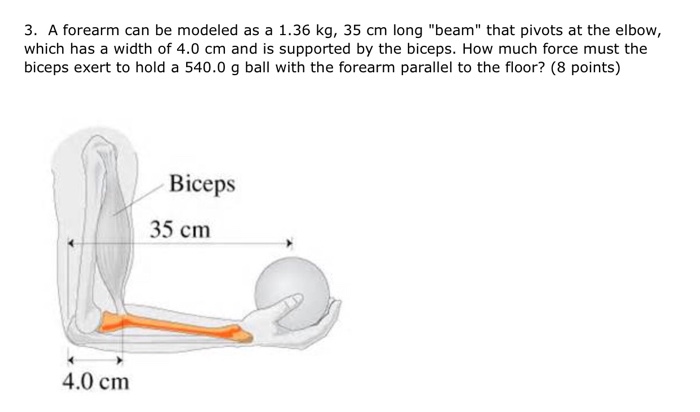 Solved 3. A forearm can be modeled as a 1.36 kg, 35 cm long | Chegg.com