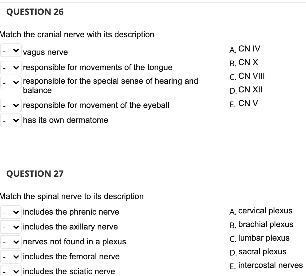 Solved QUESTION 26 Match the cranial nerve with its | Chegg.com