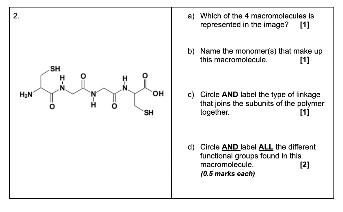 Solved 2. a) Which of the 4 macromolecules is represented in | Chegg.com