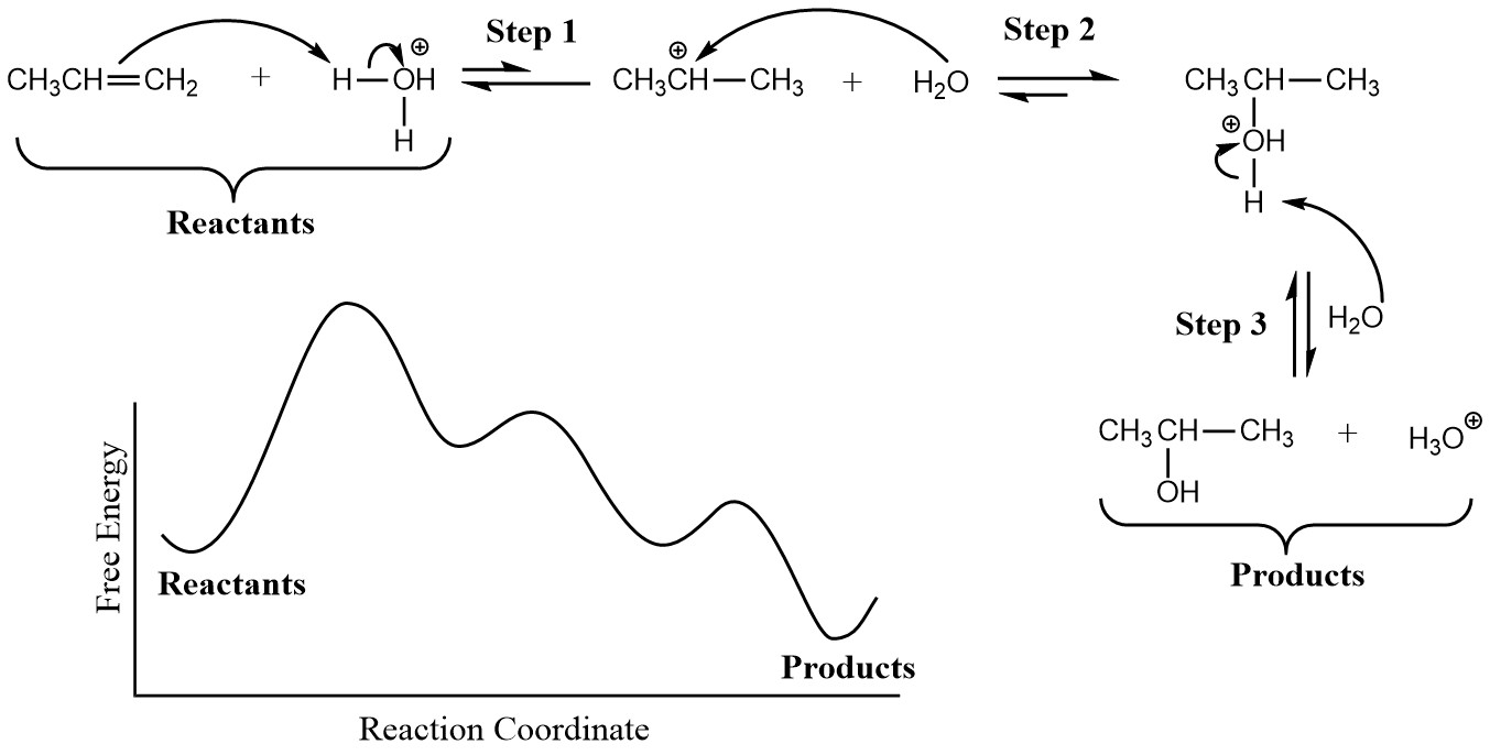Solved Which step of the following reaction is rate | Chegg.com