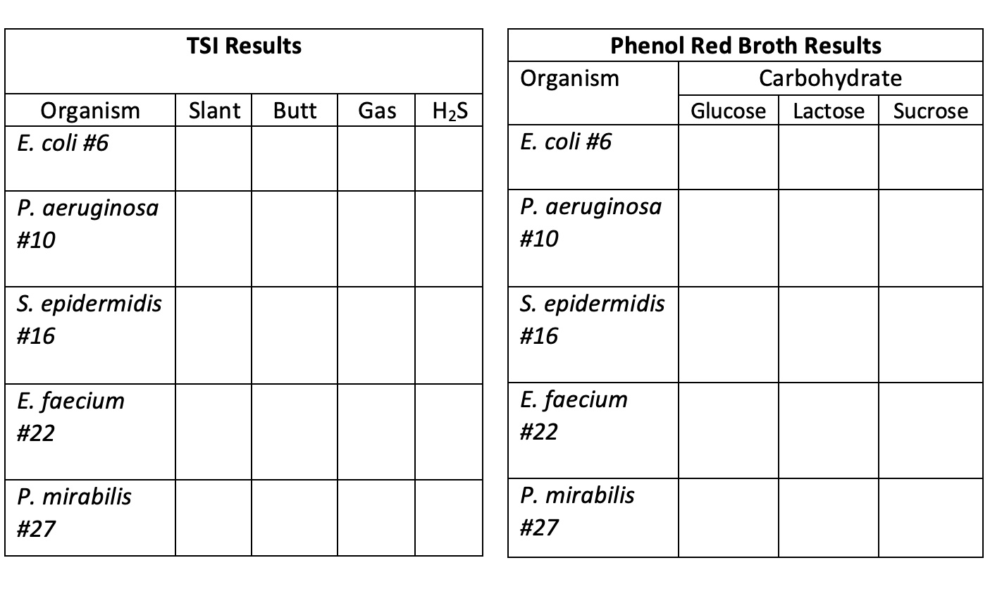 Solved TSI Results Phenol Red Broth Results Organism | Chegg.com