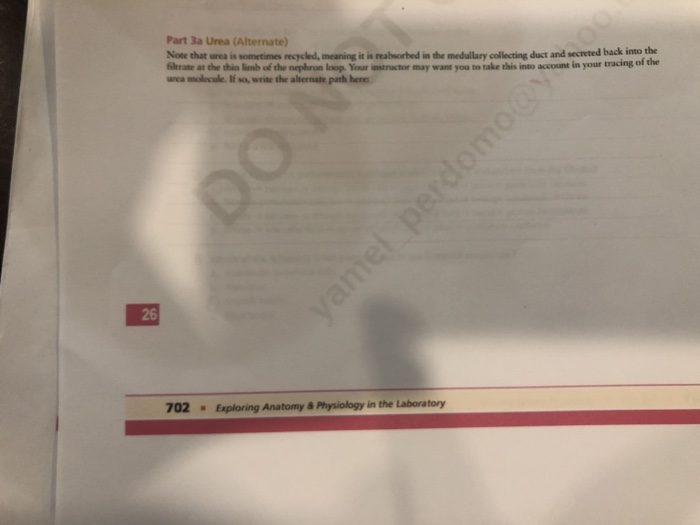 Solved Part 3a Urea (Alternate) Note that urea is sometimes | Chegg.com