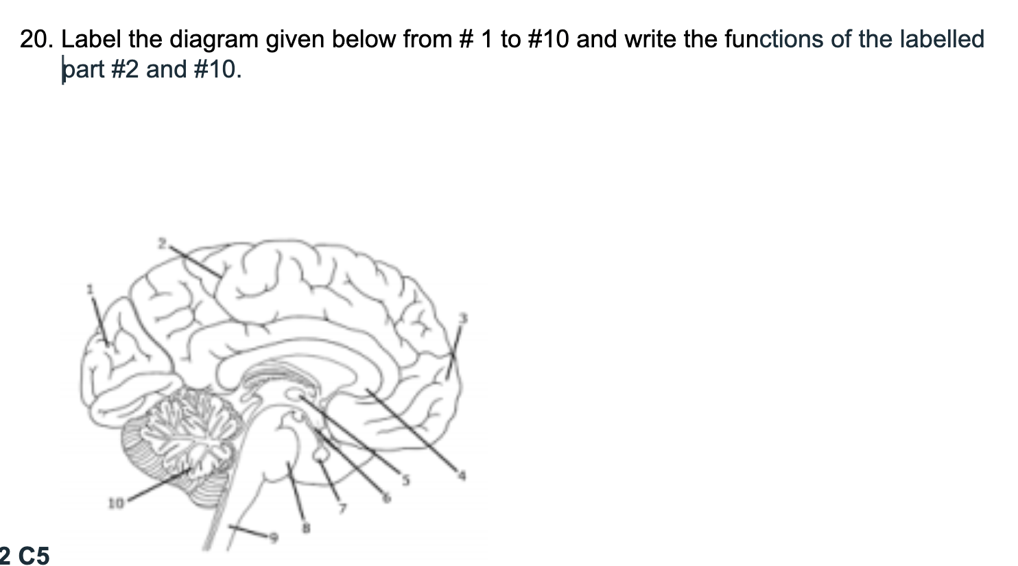 Solved 20. Label the diagram given below from # 1 to #10 and | Chegg.com