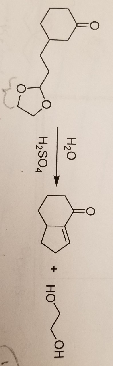 Solved H2o O H2SO4 | Chegg.com