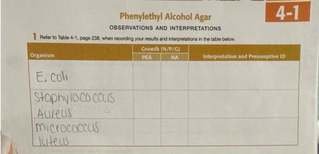 Solved 4-1 Phenylethyl Alcohol Agar OBSERVATIONS AND | Chegg.com