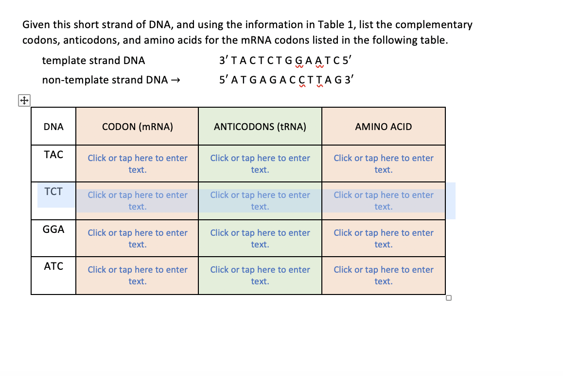 Solved Given this short strand of DNA, and using the | Chegg.com