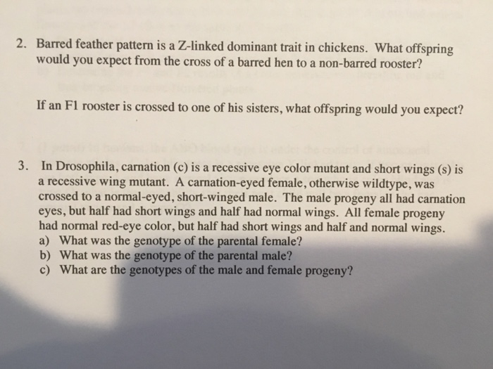 Solved Barred feather pattern is a Z-linked dominant trait | Chegg.com