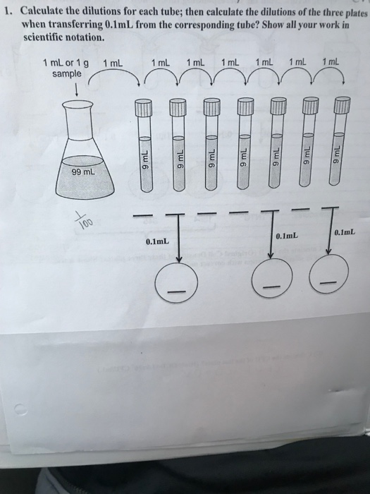 Solved Calculate the dilutions for each tube; then calculate | Chegg.com