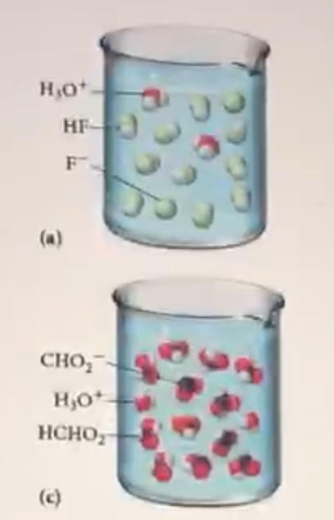 Solved The image above displays two weak acids, hydrofluoric | Chegg.com