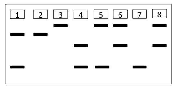 Solved Please help me to solve the question below in detail. | Chegg.com Solved Please help me to solve the question below in detail. | Chegg.com