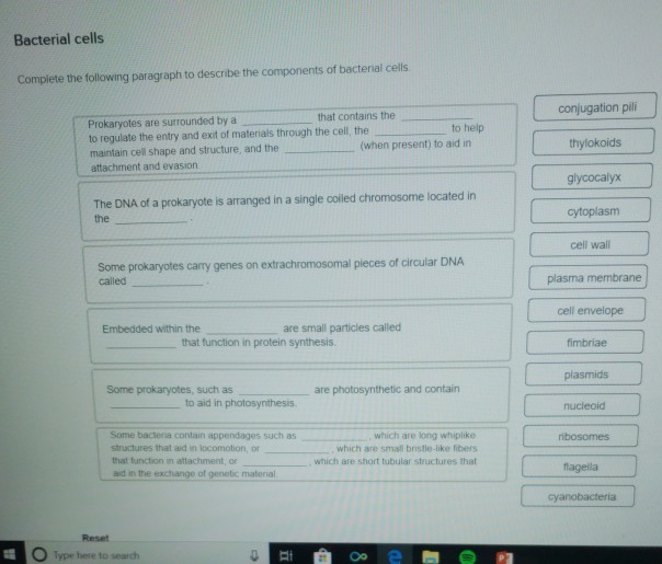Solved Bacterial cells Compiete the following paragraph to | Chegg.com